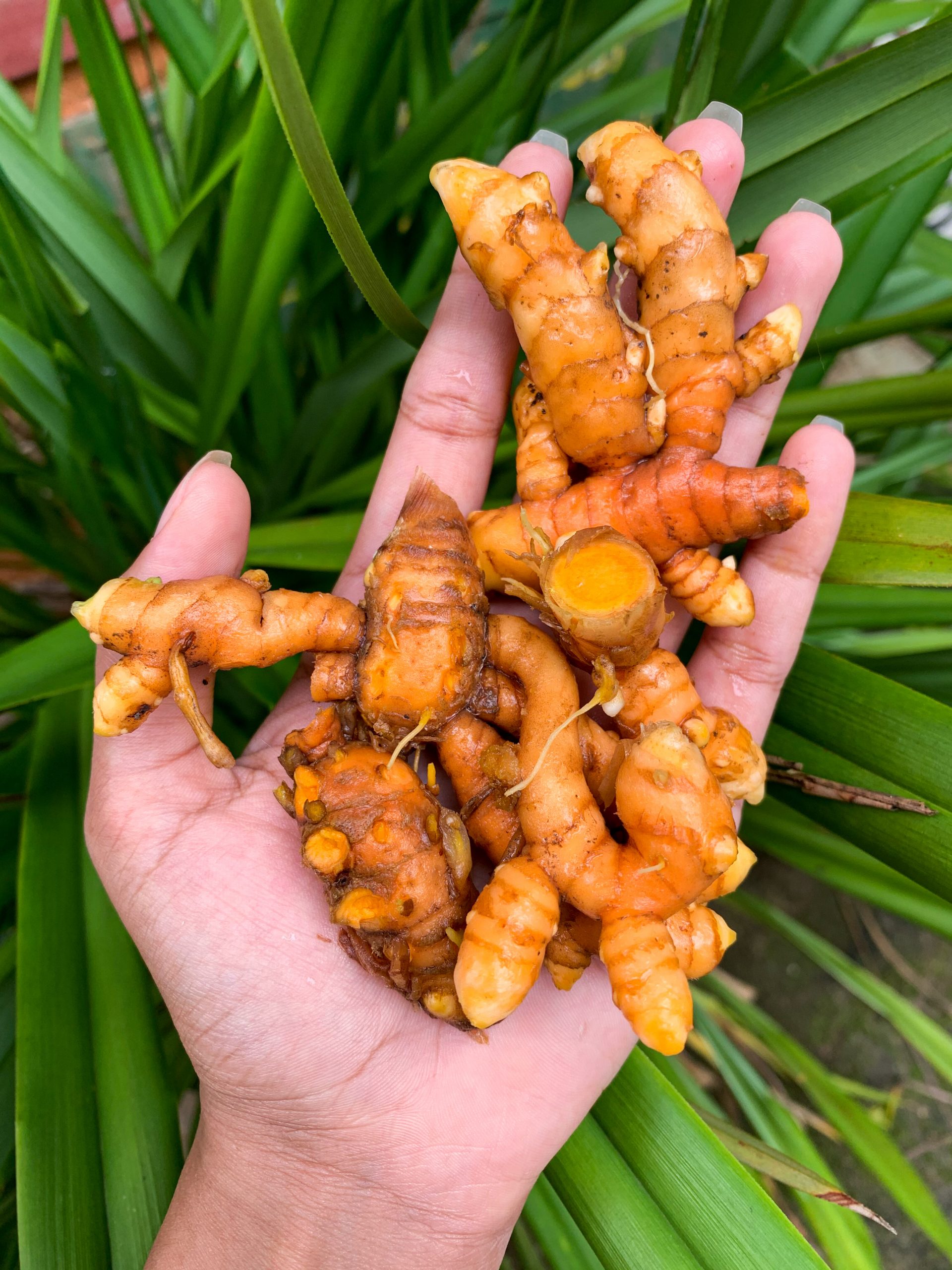 Our Story – Swasti Sri Lanka